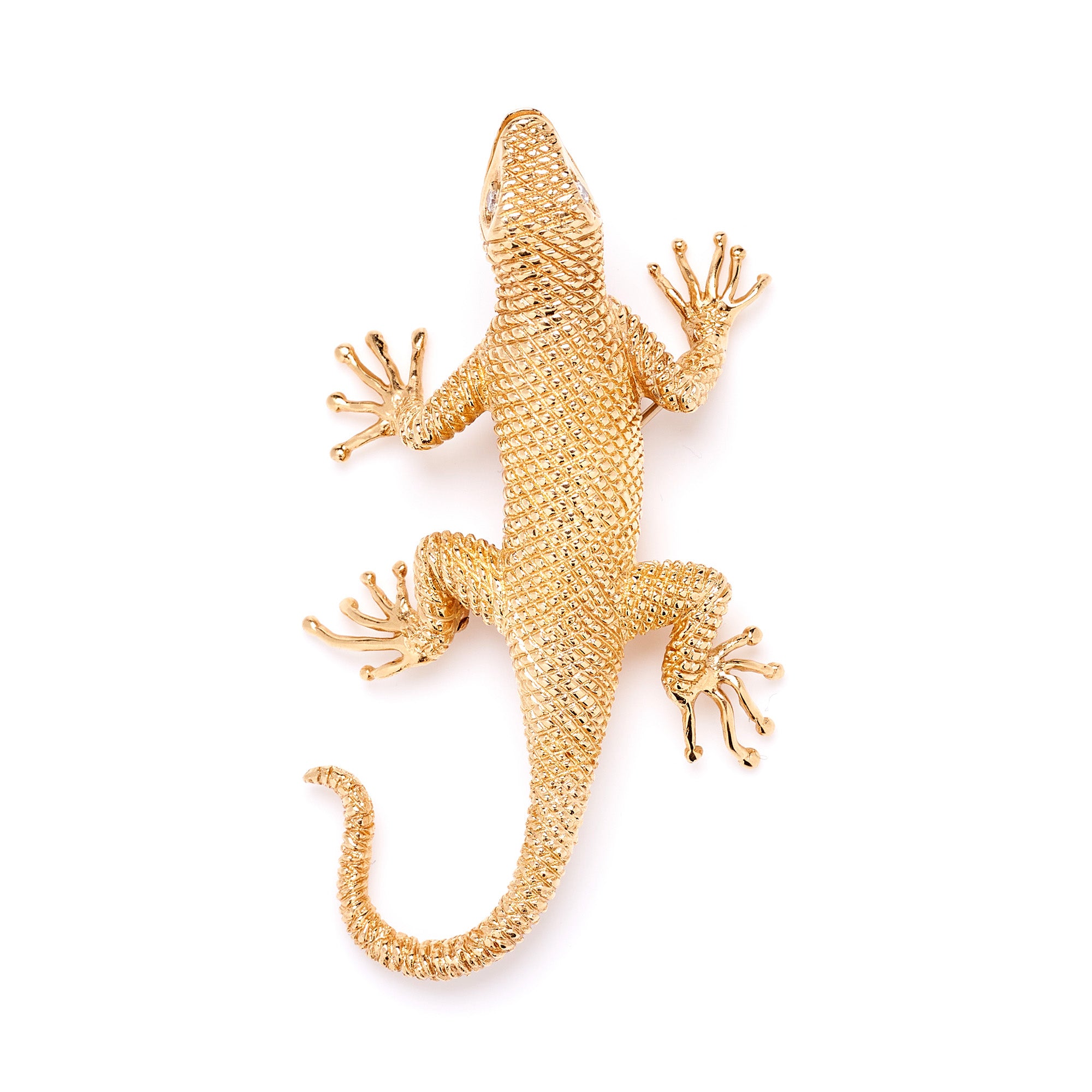 Estate "Dankner" Lizard Pin – Spicer Greene Jewelers